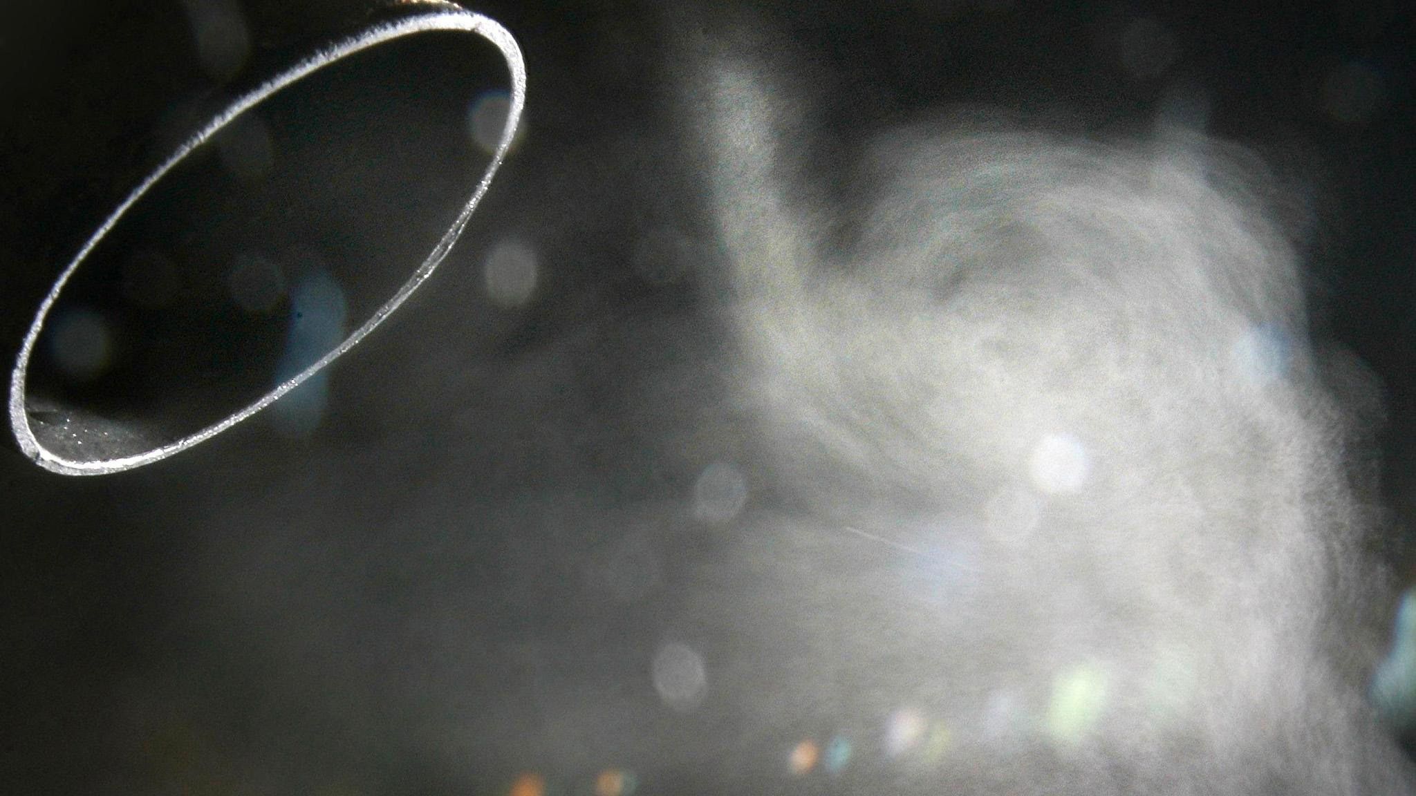 VW investigates 'diesel fume tests on monkeys' | Money News | Sky News