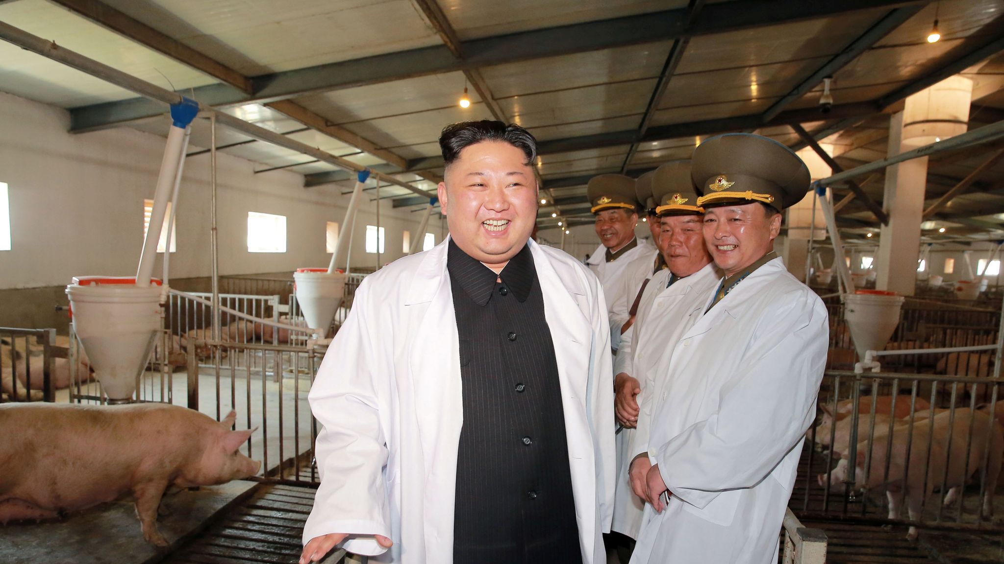 Kim Jong-Un inspects dead pigs on farm | World News | Sky News