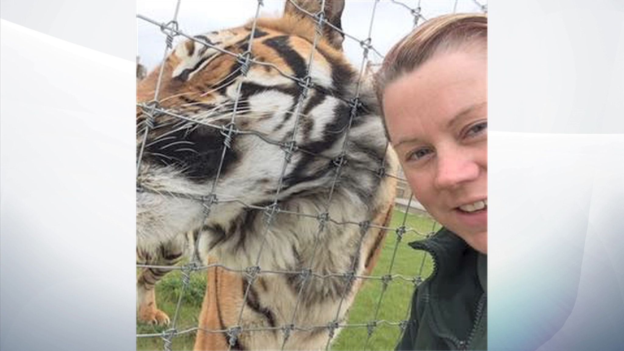 Cambridgeshire zoo where tiger mauled keeper 'was told to improve ...