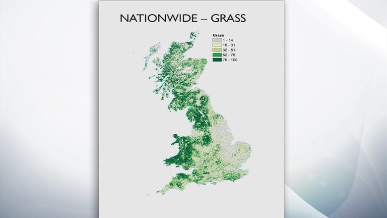 Hay fever map reveals Britain's worst pollen hotspots | UK News | Sky News
