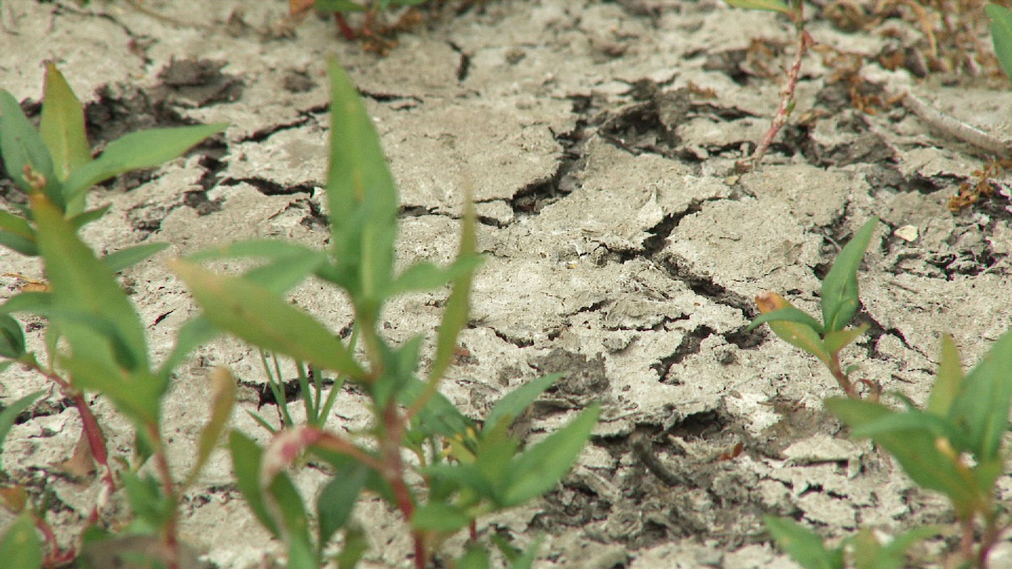 Rivers and streams in parts of UK 'under threat of drying up', says WWF ...