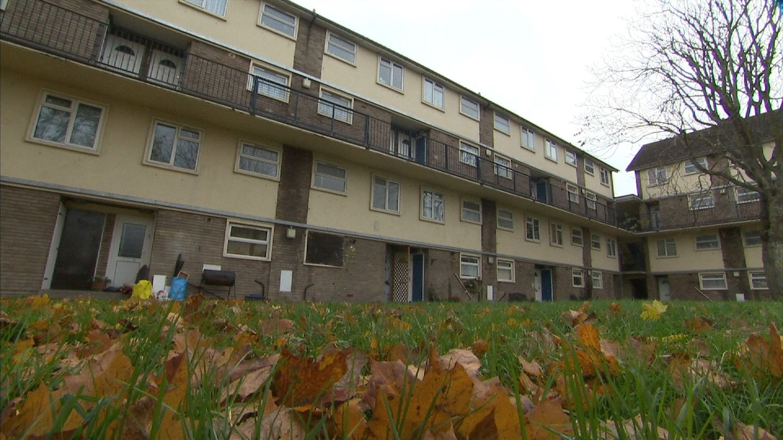 Bijan Ebrahimi: Murder victim let down by 'institutional racism' | UK ...