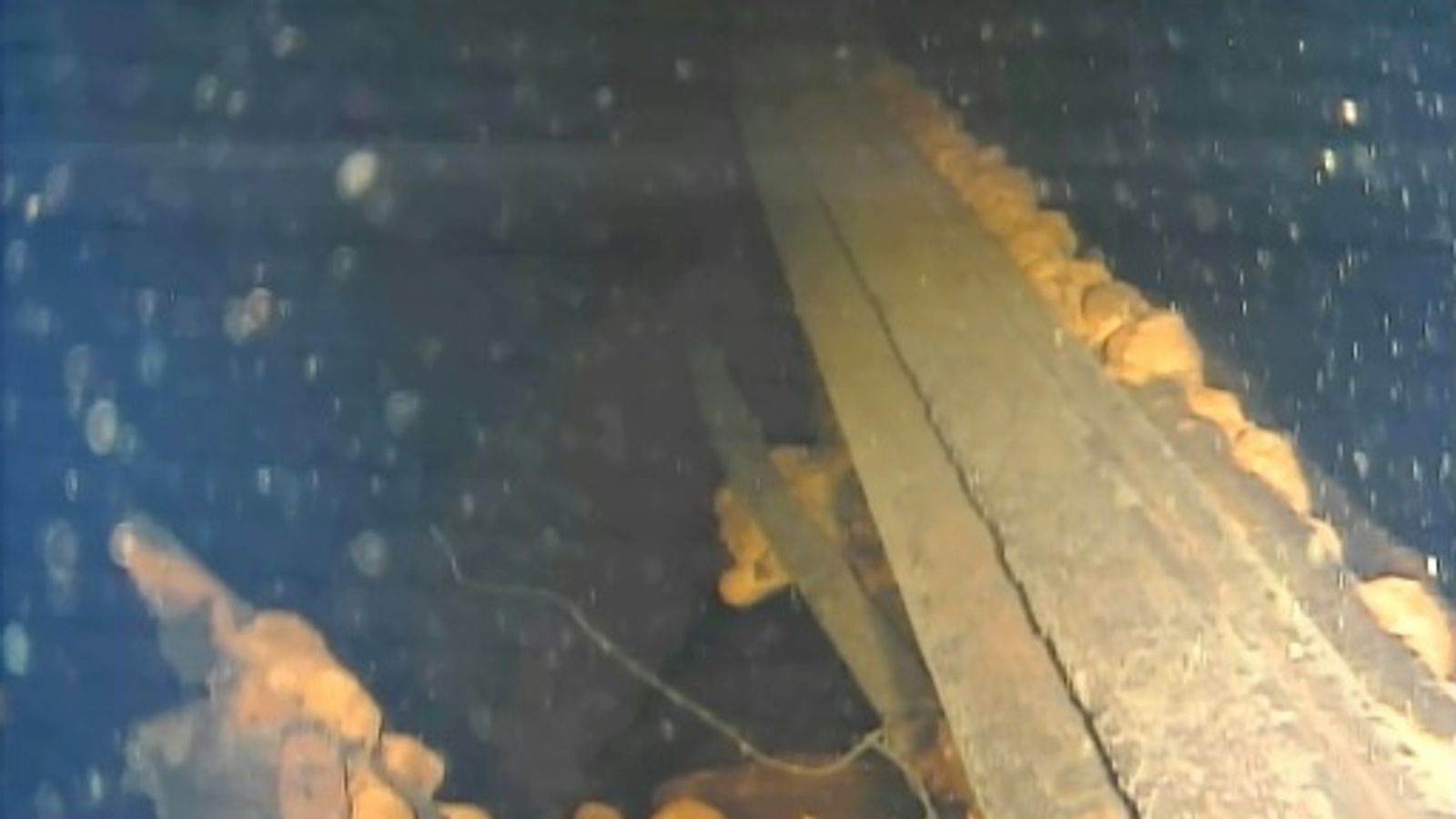 Melted nuclear fuel spotted in Fukushima reactor | Science, Climate ...