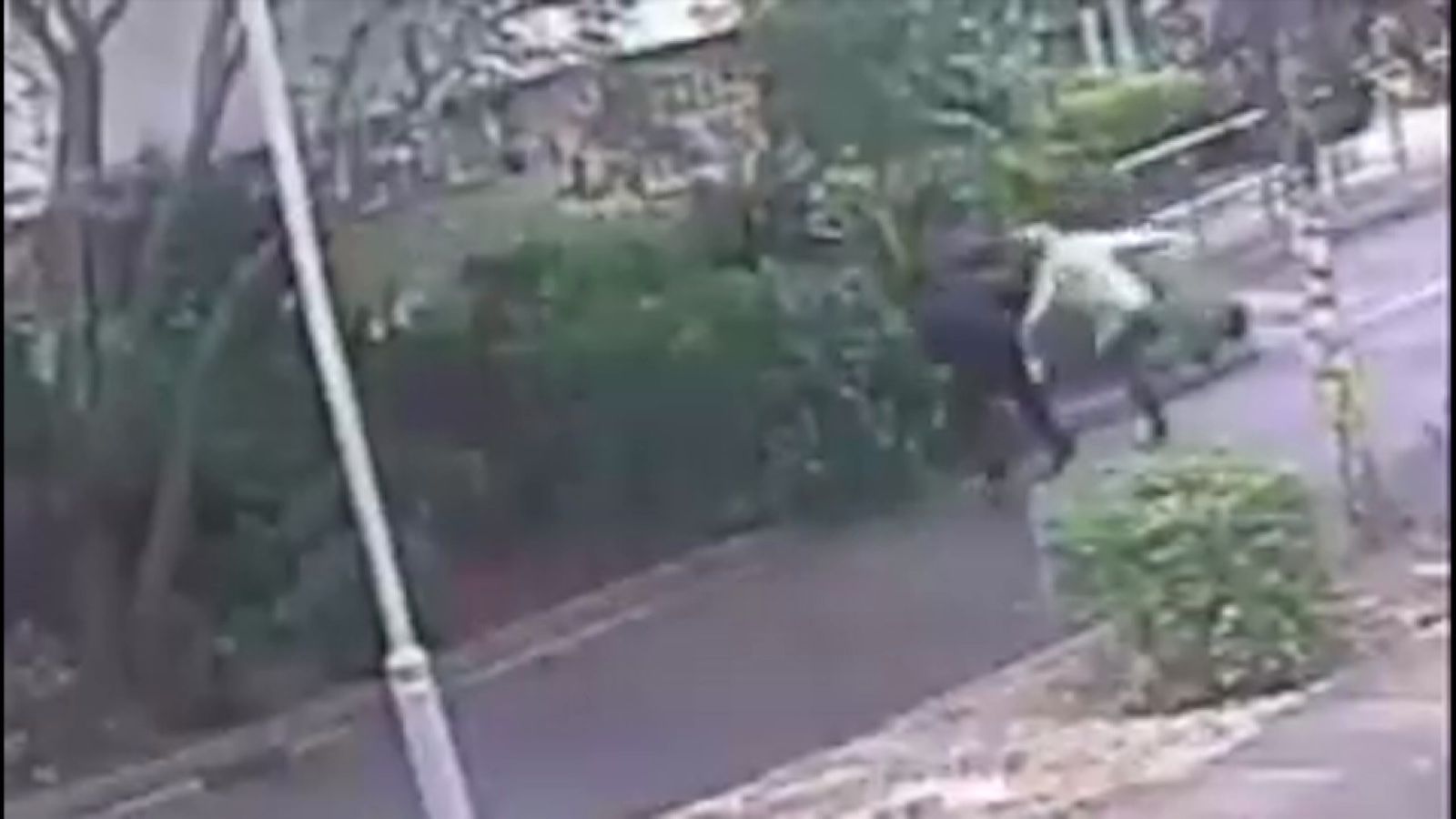 OAP dragged to floor in 'devastating' robbery | News UK Video News ...