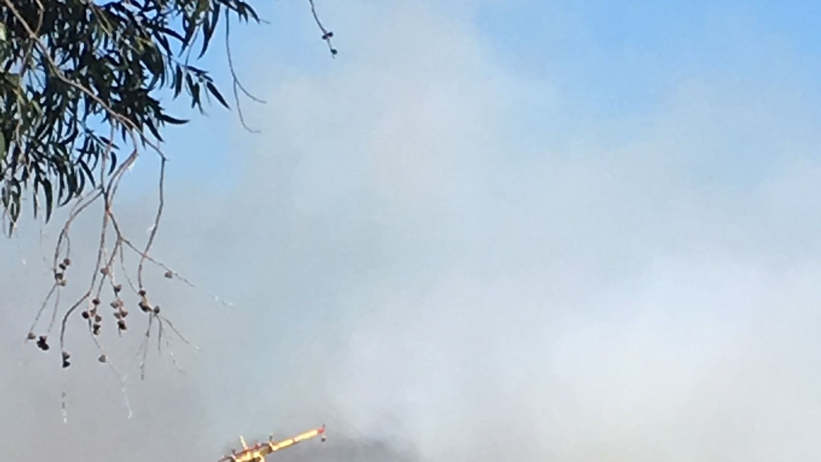 French fires force evacuation of 12,000 people | World News | Sky News