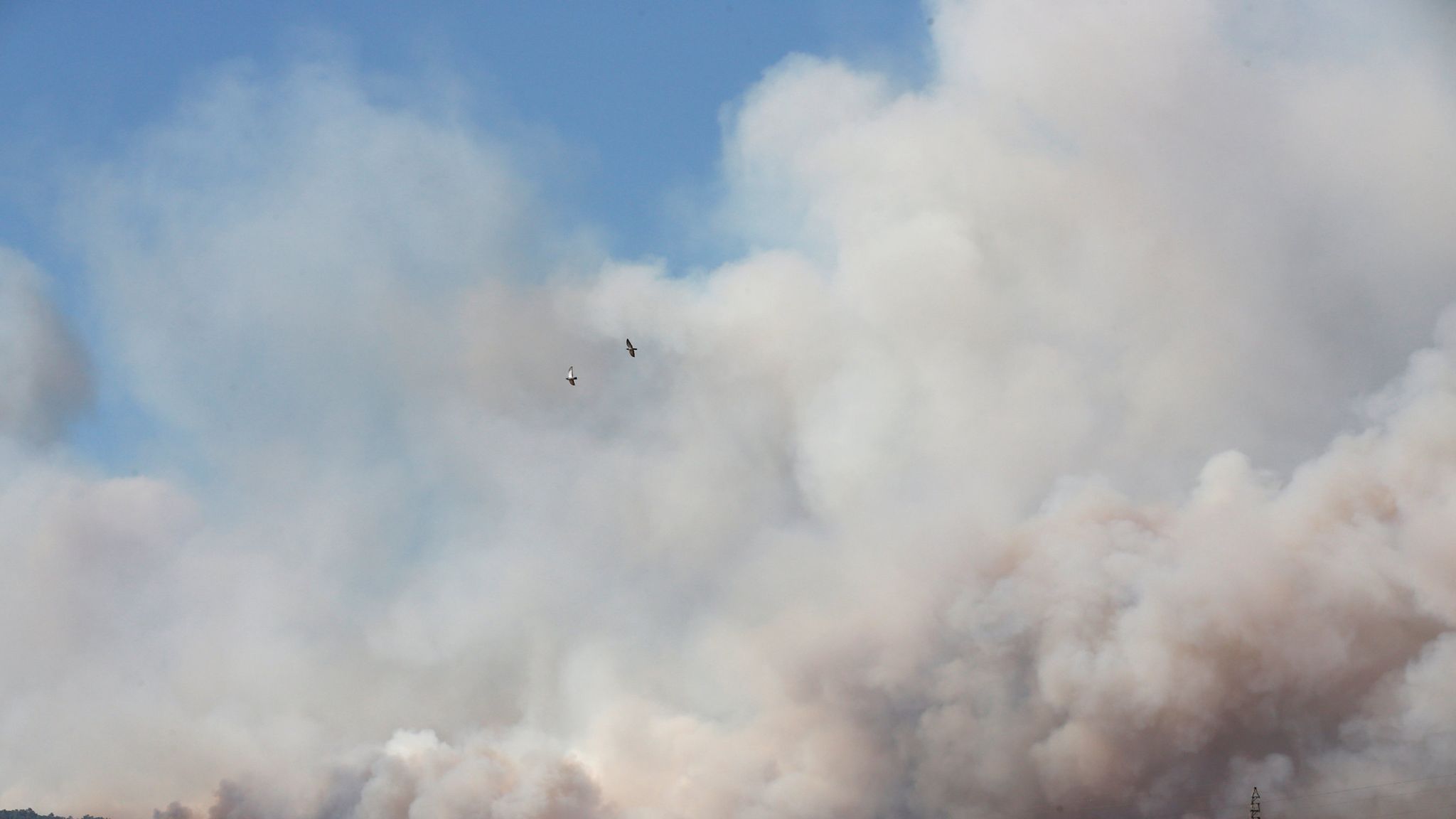 French fires force evacuation of 12,000 people | World News | Sky News