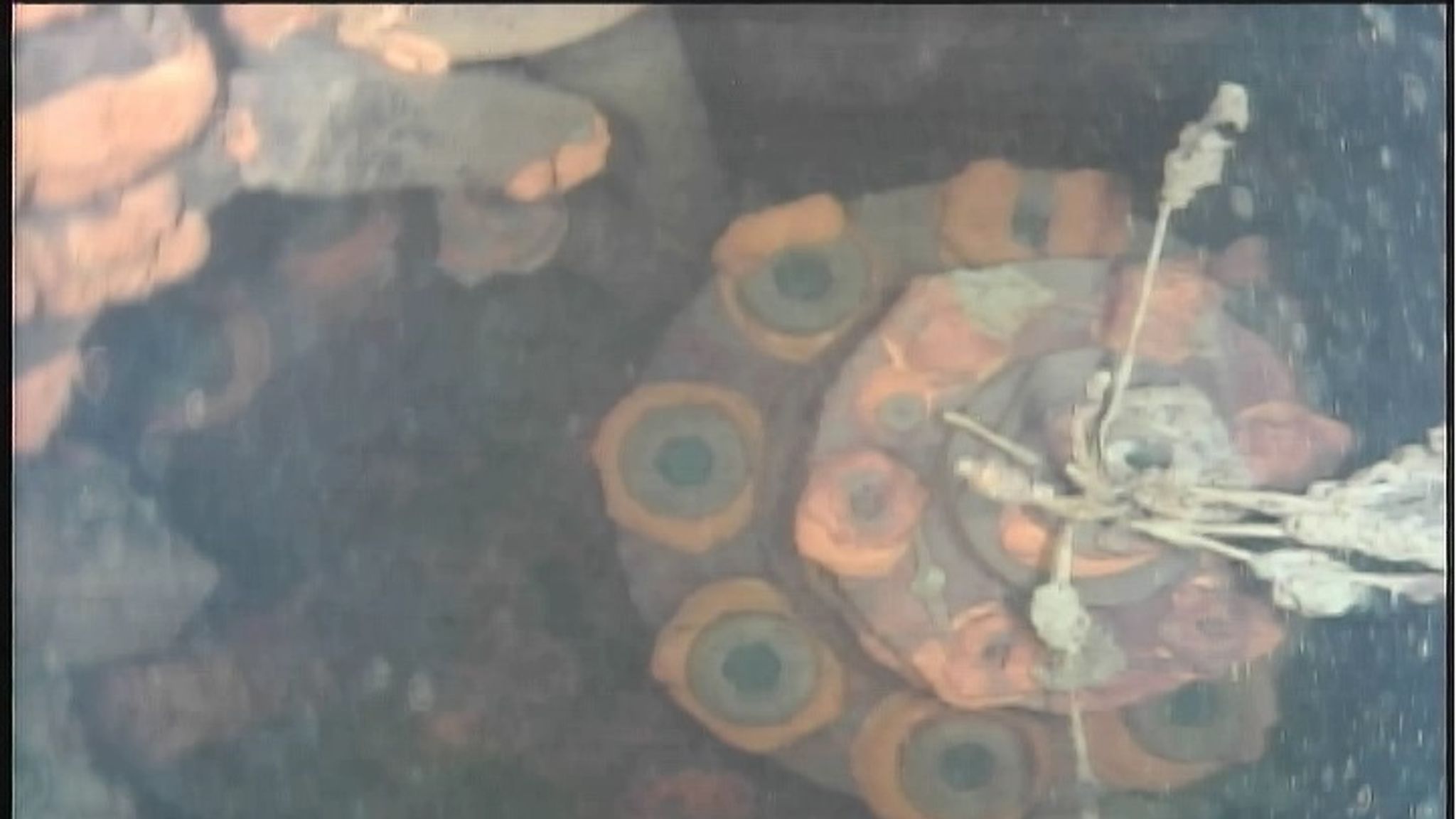 Melted nuclear fuel spotted in Fukushima reactor | Science, Climate ...