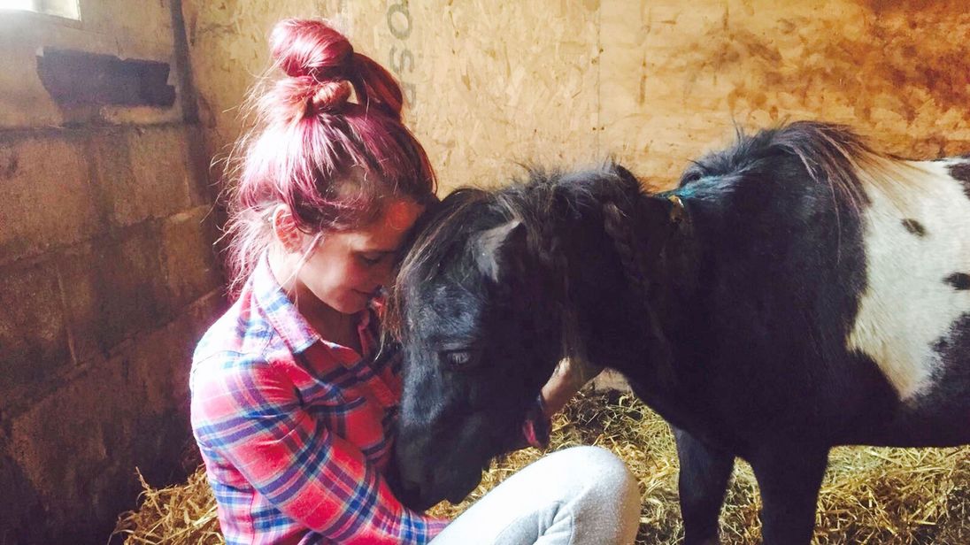 Shetland ponies stabbed in neck in 'barbaric' night-time attack