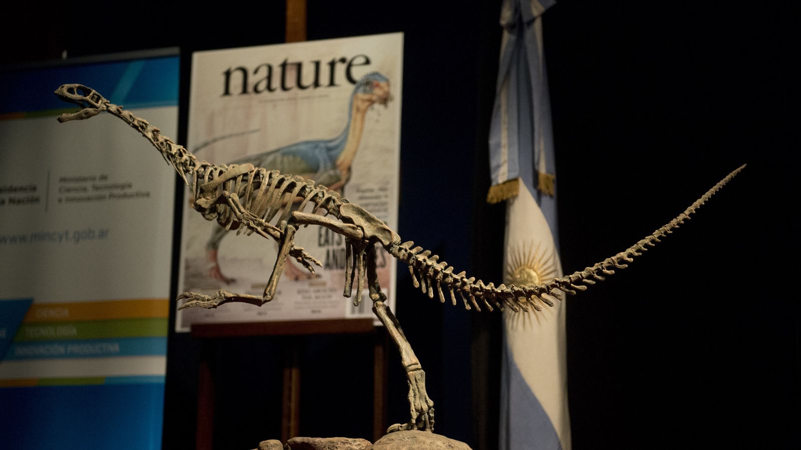 Unusual Chilesaurus may link plant-eaters and predators | World News ...