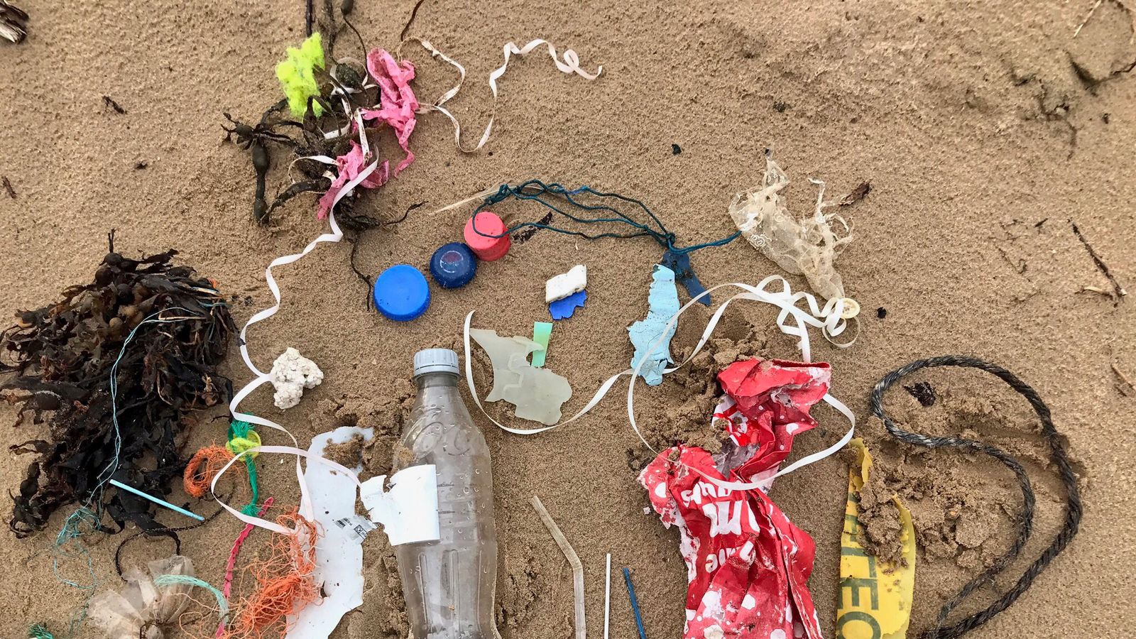 Wales could introduce 'plastic tax' to tackle ocean litter | Sky News