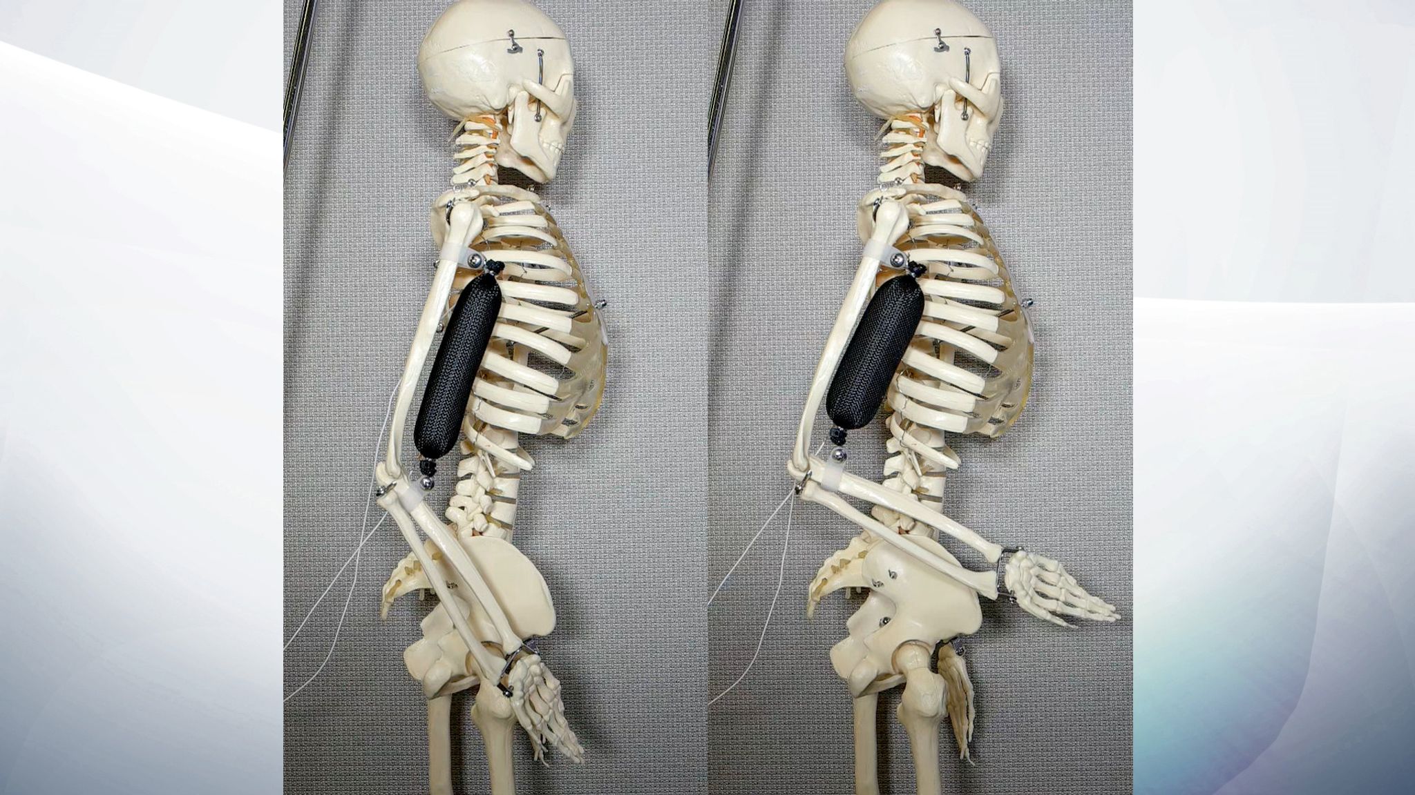 Scientists create artificial muscles which could allow robots to lift ...