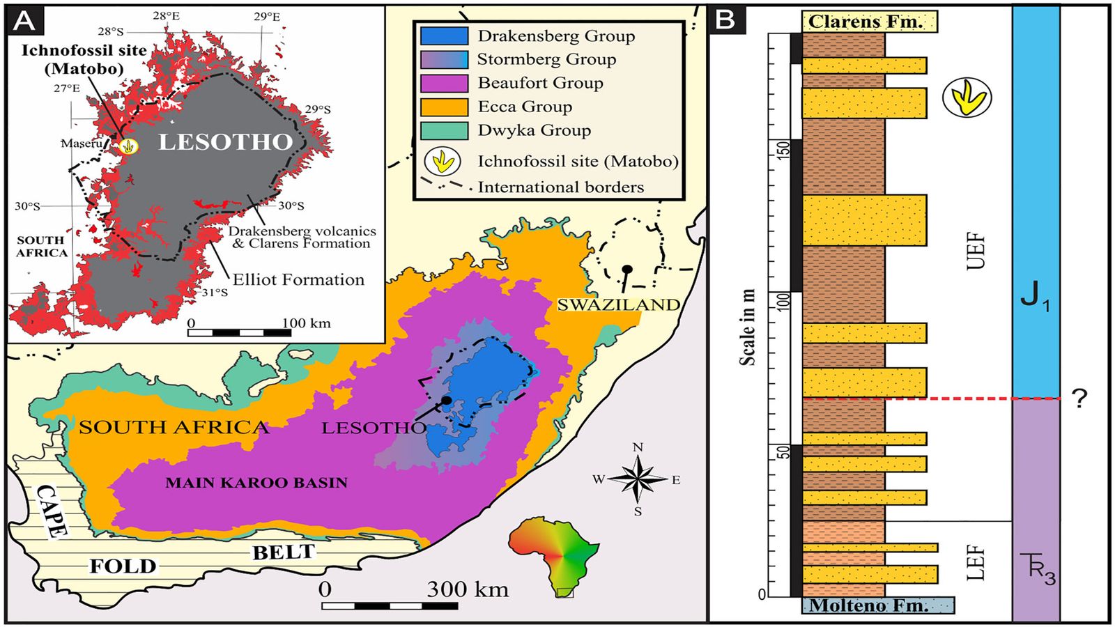 Dinosaur footprints four times bigger than a lion are found in Africa ...