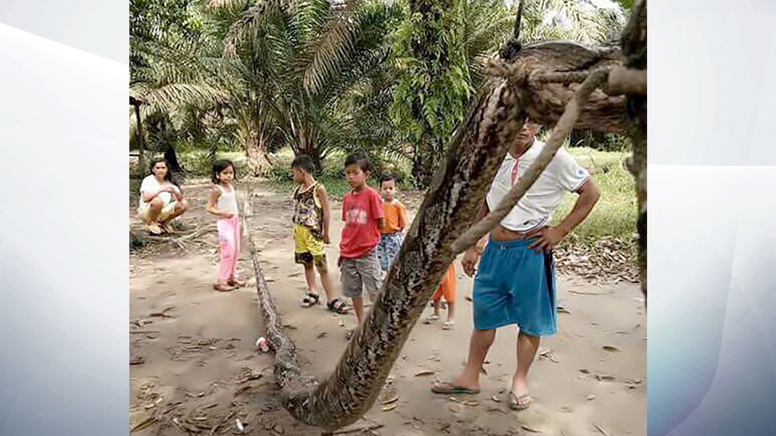 'Unbelievably huge' python fried for feast after fight with villagers ...