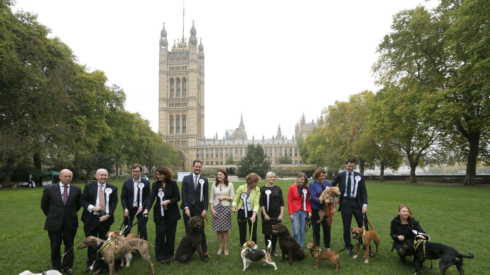 Labour MP's pooch Rocky wins Westminster Dog of the Year crown ...
