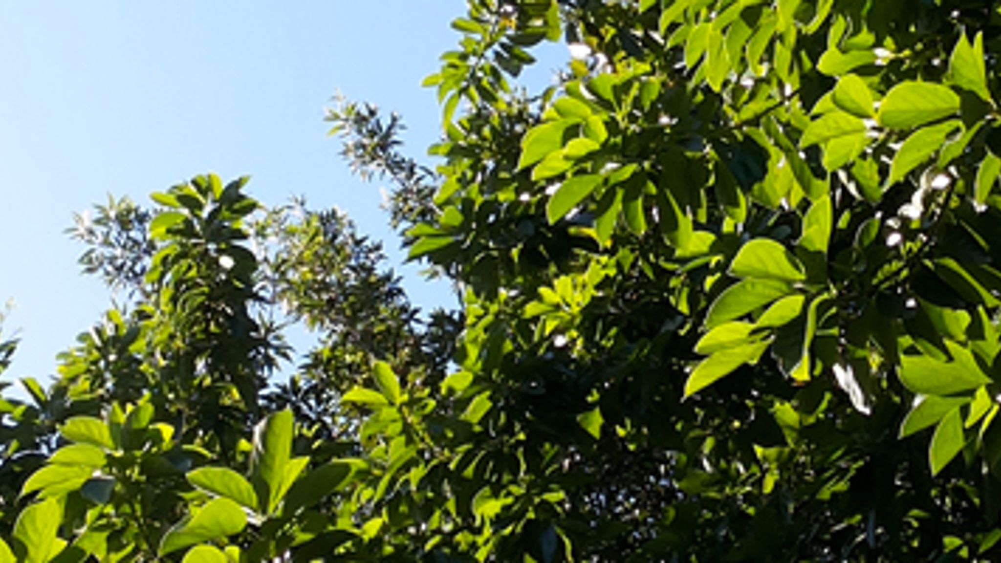 Debt collector Cabot acts with Haste to secure £1bn flotation | Money ...