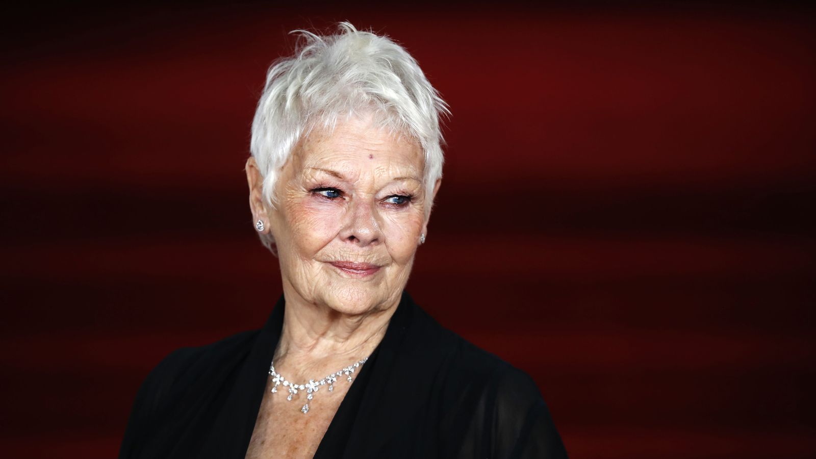 Dame Judi Dench Hollywood Sex Scandal Hard As Some Accused Are Great Friends Ents And Arts