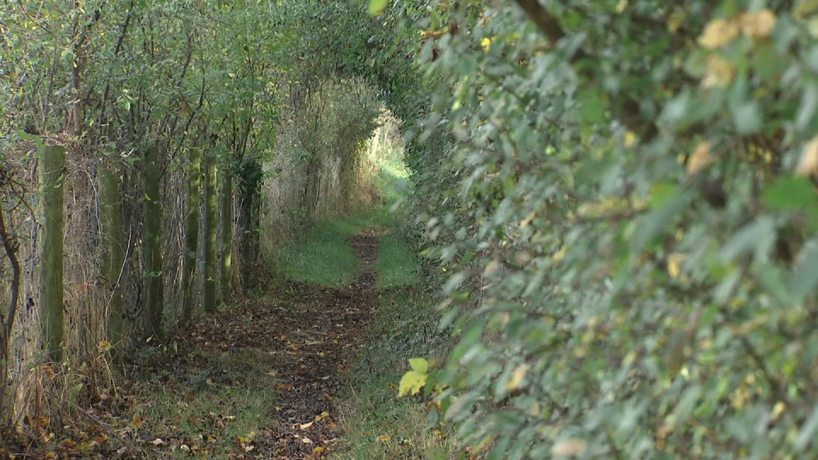 Kate Bushell murder: Police renew appeal to find girl's killer | UK ...