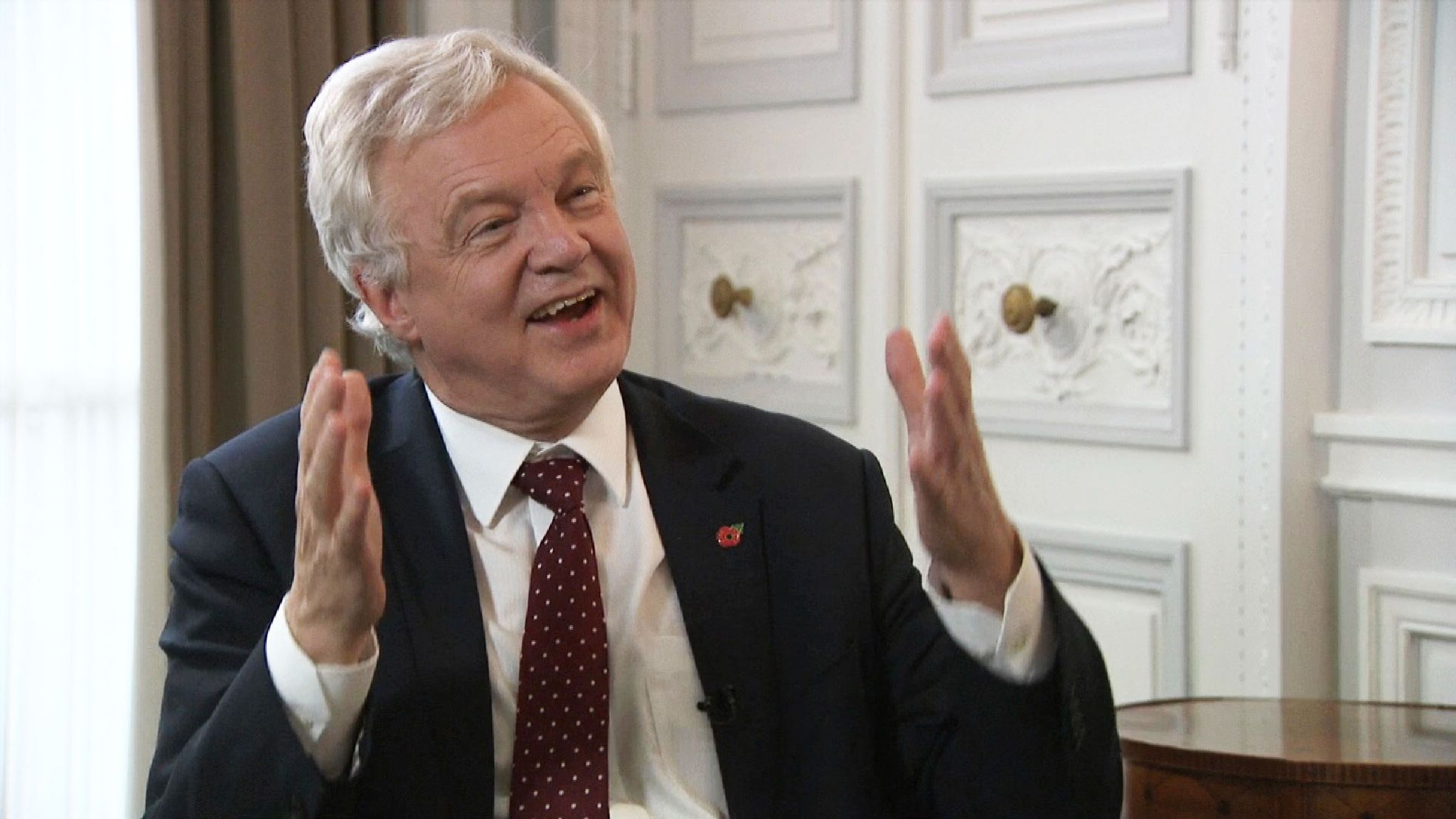David Davis promises bespoke EU trade deal within eight months ...