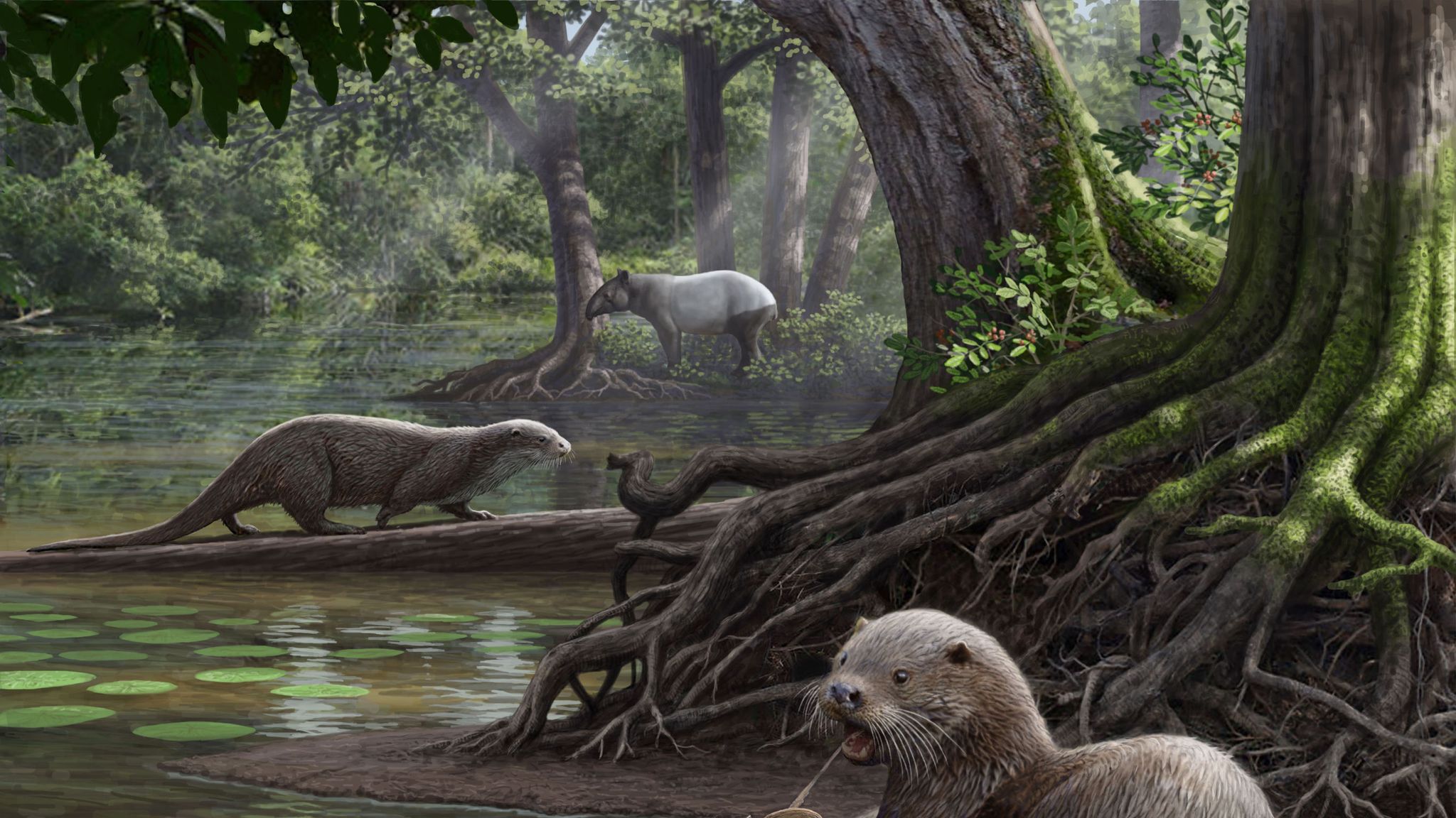 Otters had wolf-sized ancestors with powerful teeth, scientists reveal ...