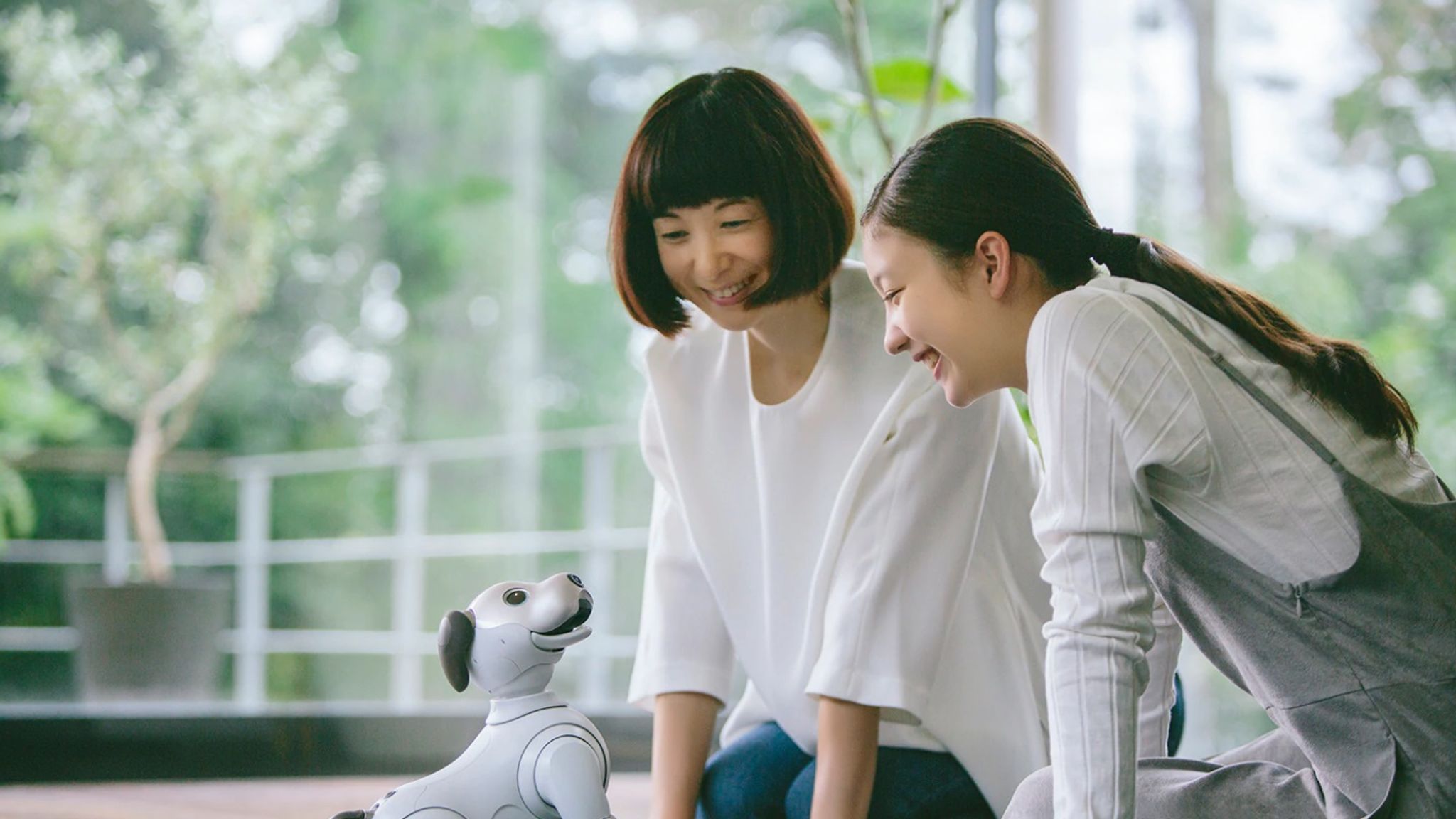 New Sony robo dog Aibo displays 'love and affection' | Science, Climate ...
