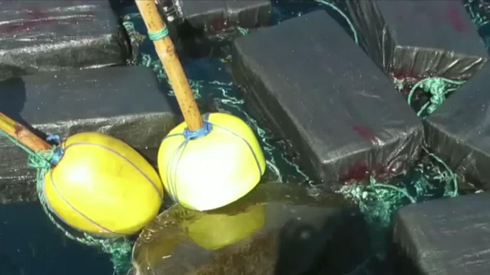 Turtle trapped in $55m haul of cocaine | News UK Video News | Sky News