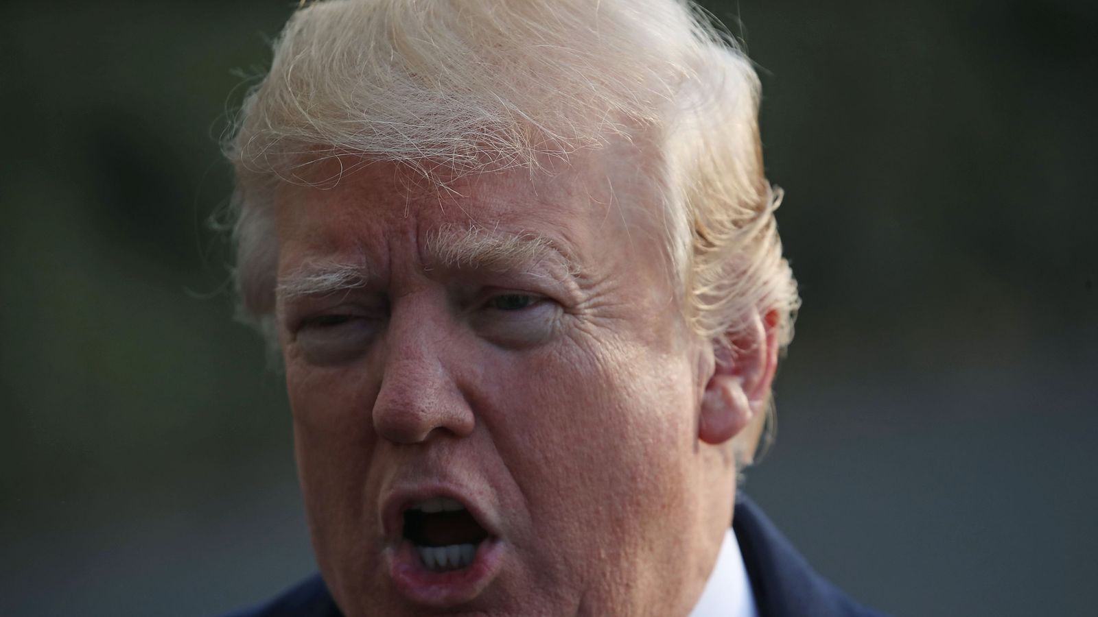 Trump: 'absolutely no collusion' with Russia | News UK Video News | Sky ...