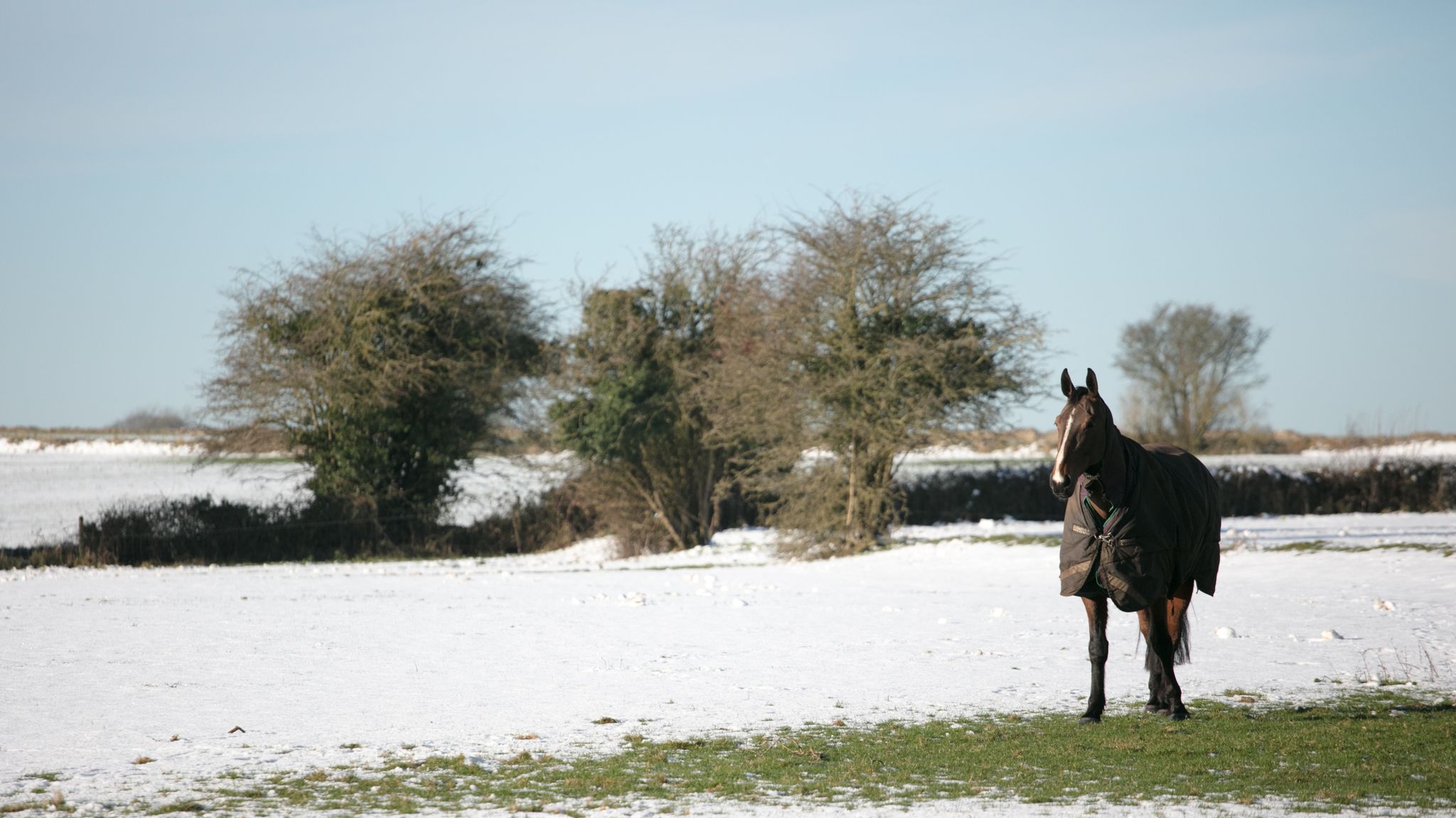 Snow falls on icy UK, causing treacherous conditions and travel ...