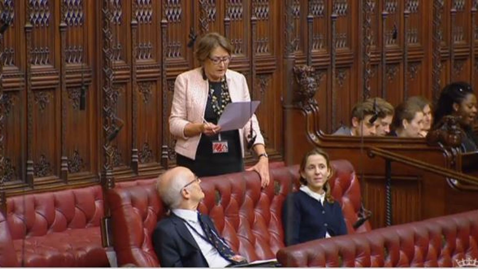 Unparliamentary! Baroness uses C-word in debate | Politics News | Sky News