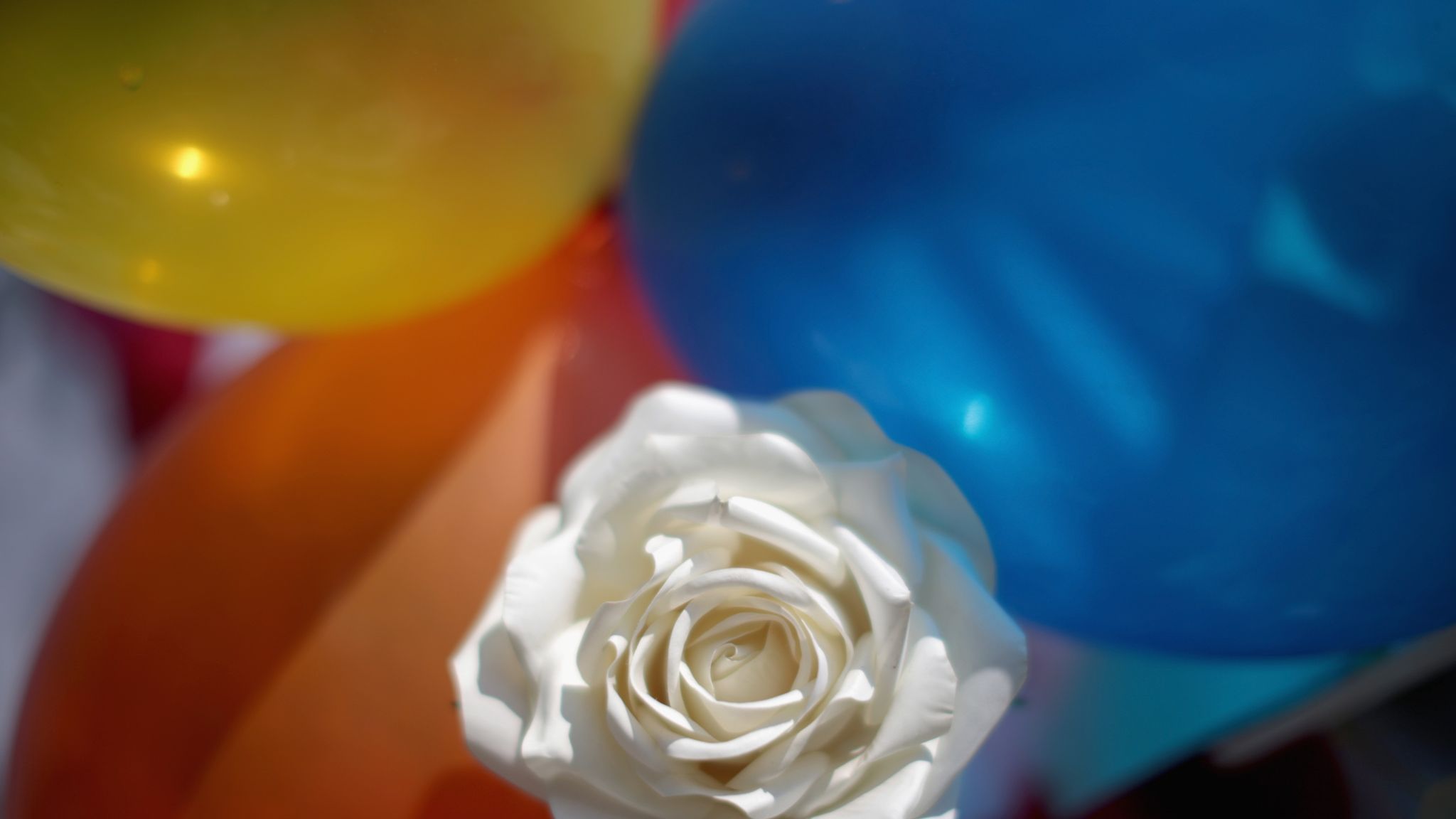 Celebs back Time's Up white rose protest at Grammy Awards | Ents & Arts ...