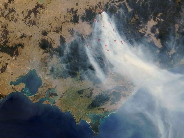 'Firehawk' raptors do spread bushfires to flush out prey, study finds