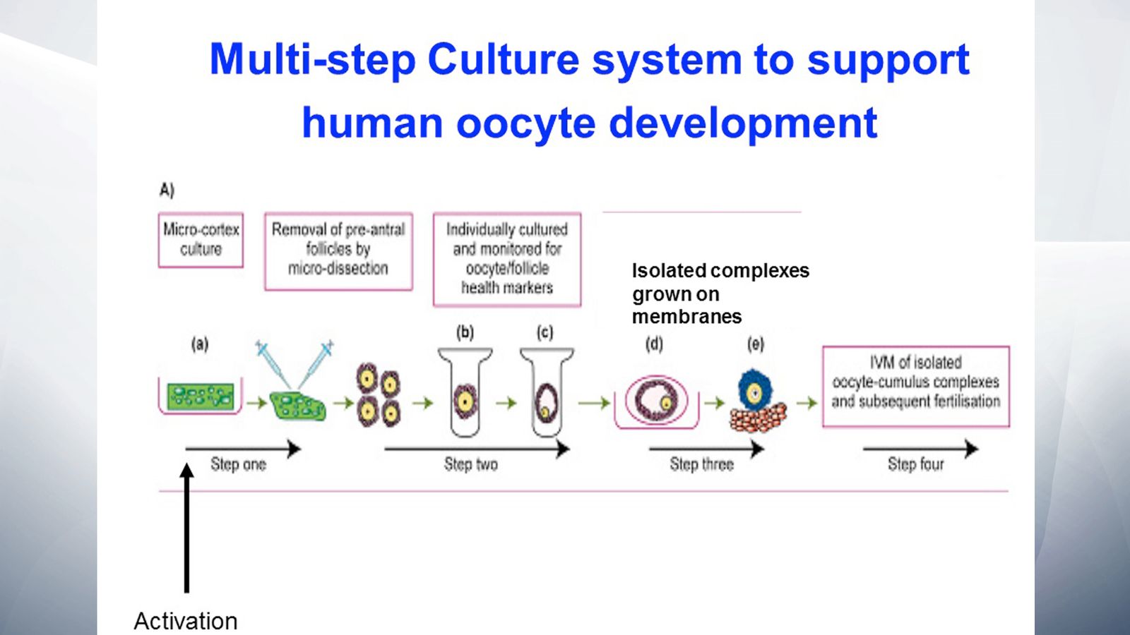 Human eggs fully grown in lab for first time ever | Science, Climate ...