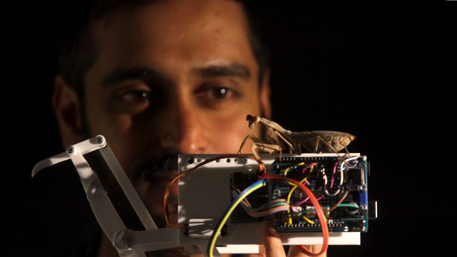 Glasses reveal how the mantis can see in 3D even when humans can't ...