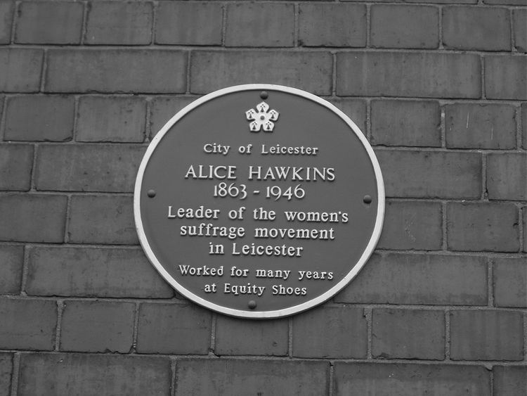 I’m glad history is finally recognising my Suffragette great-great ...