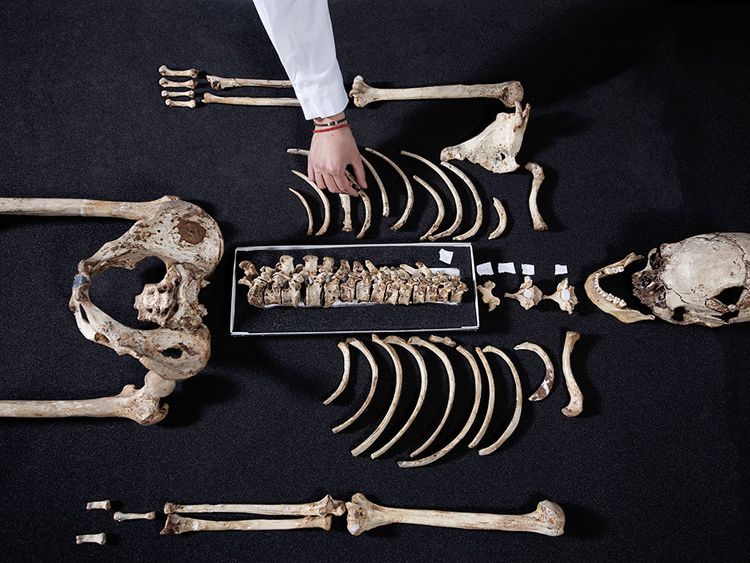 Cheddar Man: First modern Briton had dark skin and blue eyes, DNA ...