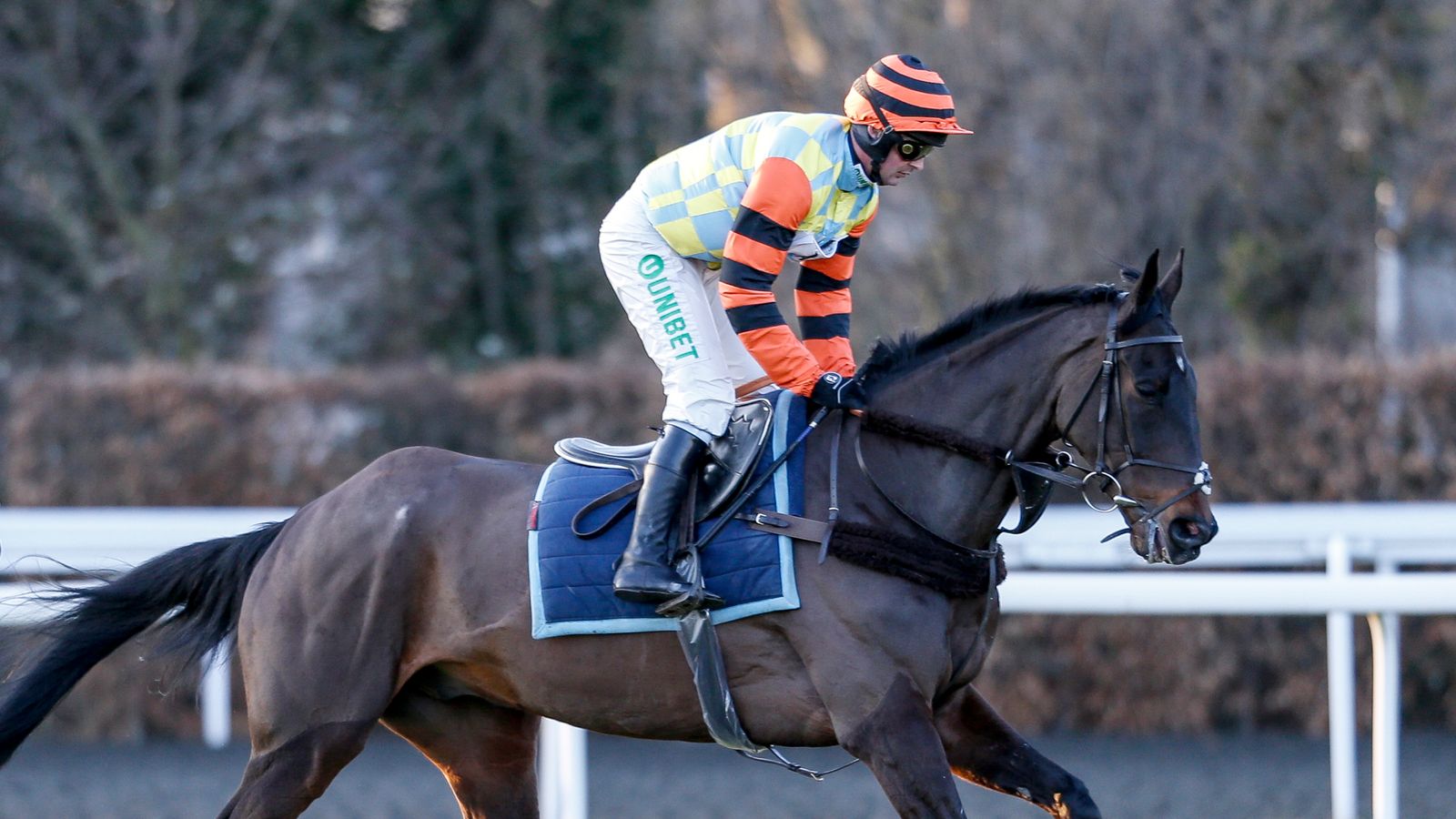 Might Bite could make the bookies swallow hard if it wins the Gold Cup ...