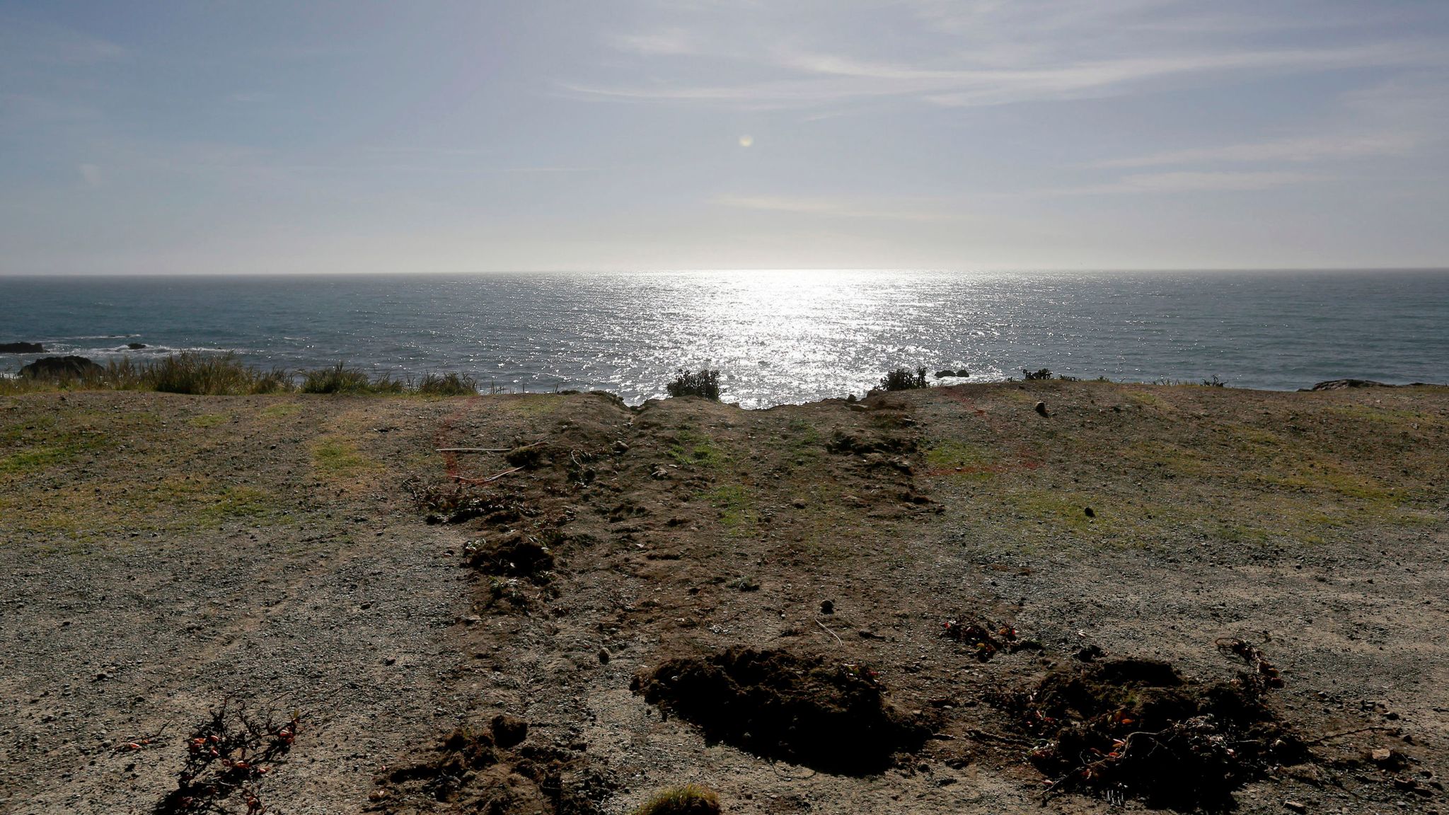 Devonte Hart: Boy in viral cop photo and family die in California cliff ...