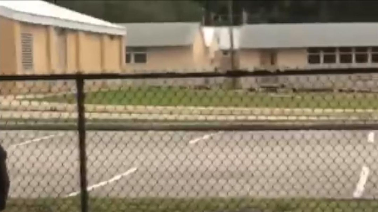 Alligator strolls by US school gates | Offbeat News | Sky News