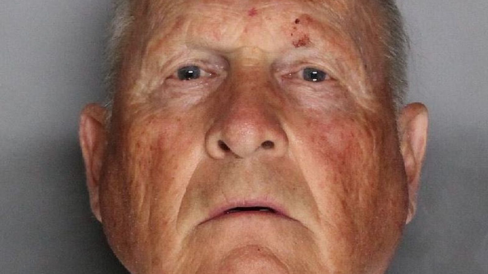 New sketch of 'Doodler' serial killer still being hunted 40 years on | US News | Sky News