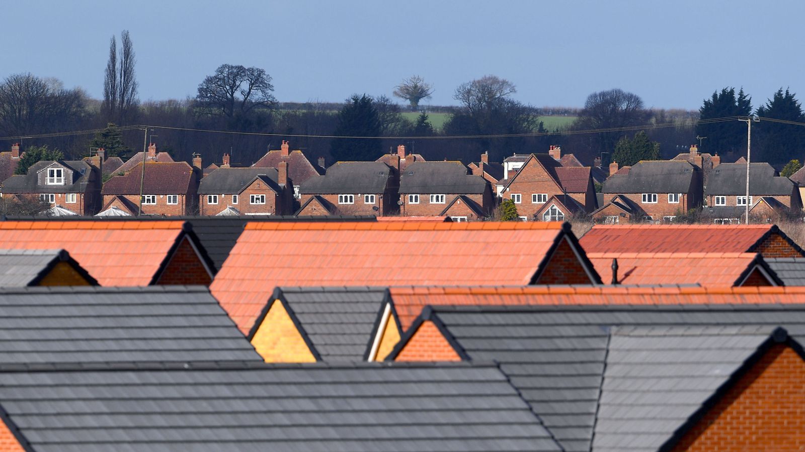 Rogue landlords 'should have houses confiscated' | UK News | Sky News