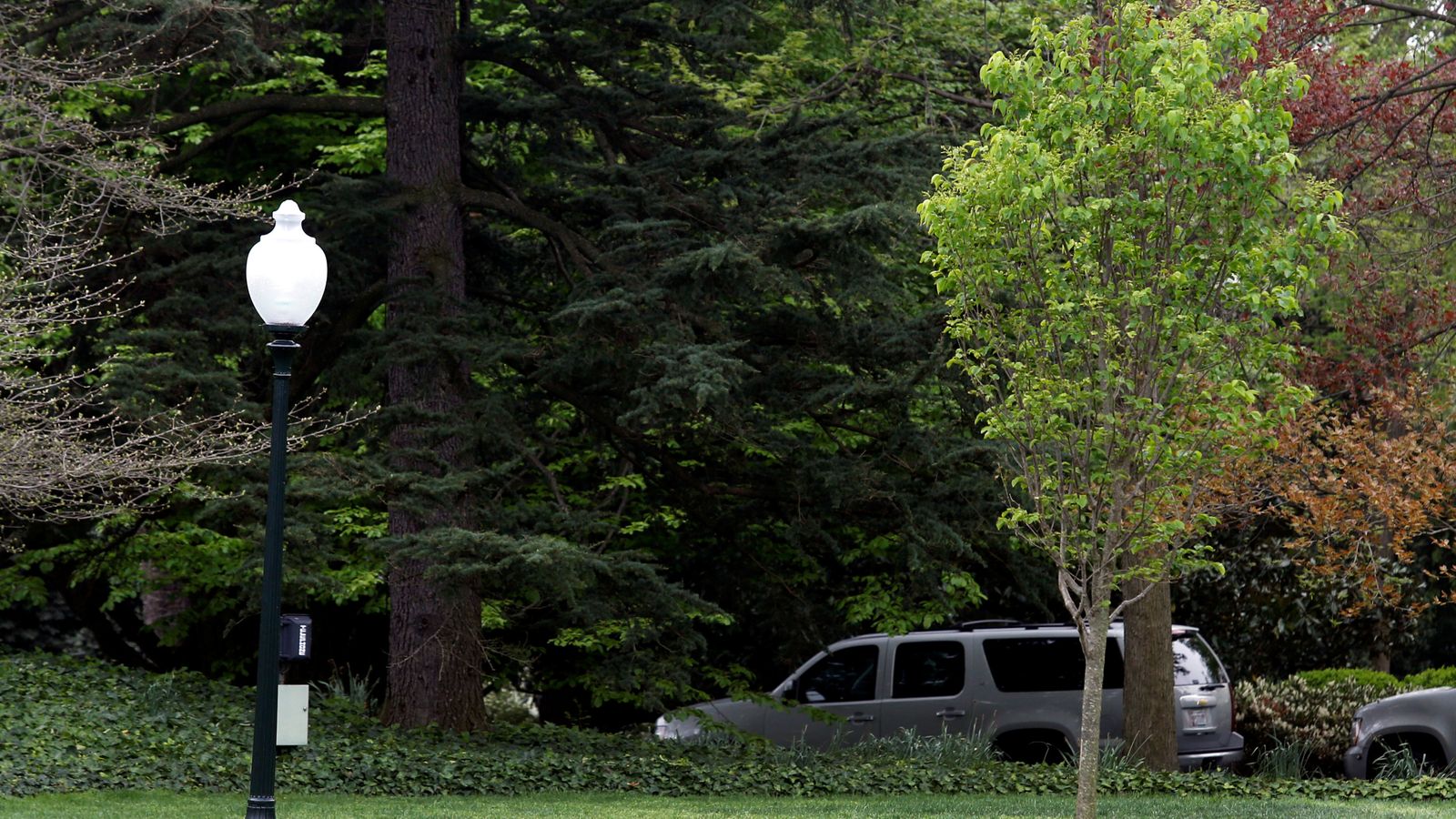 Macron's tree removed from White House lawn just days after his ...