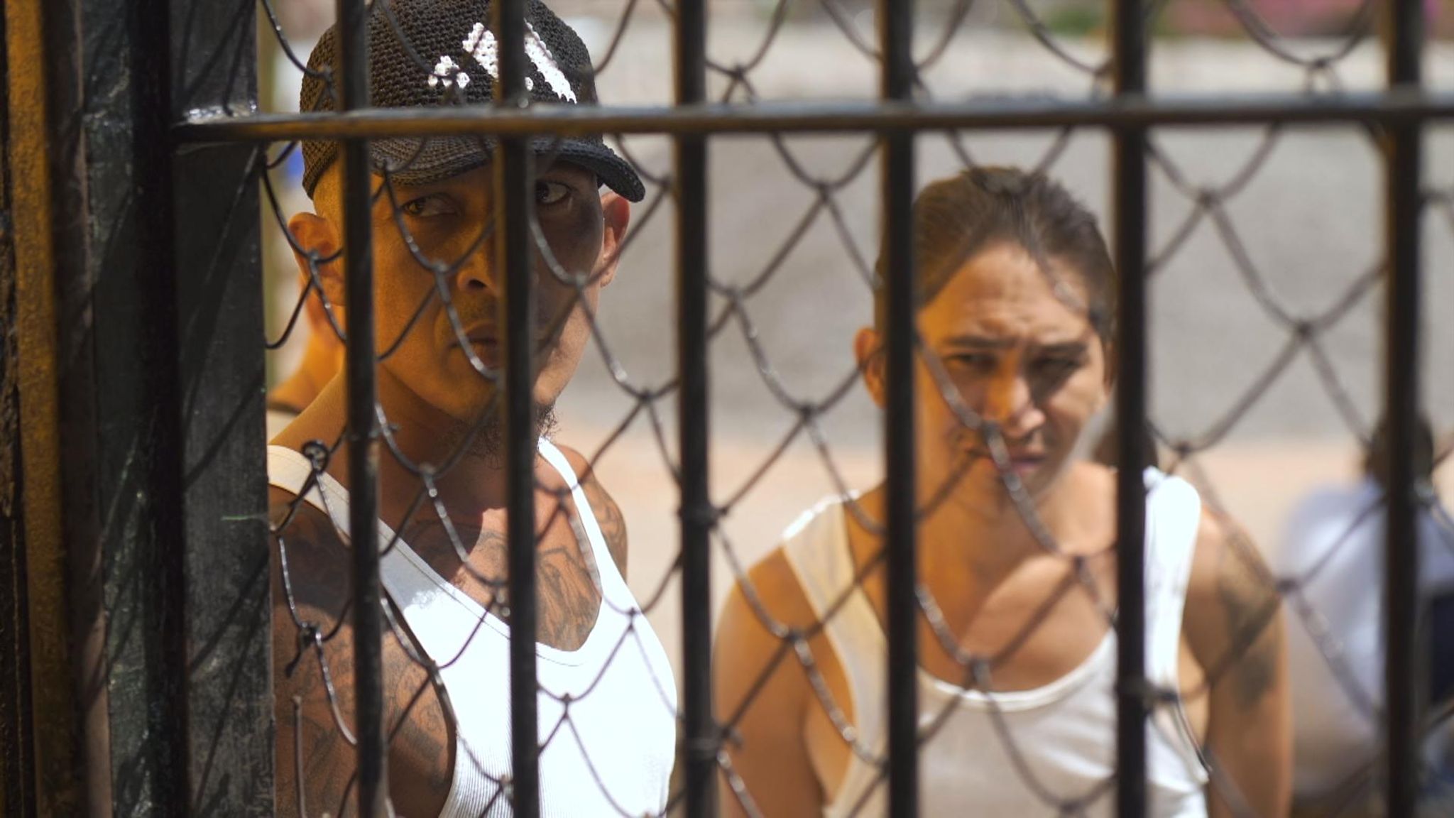 Trump sets sights on deadly MS-13 gang | US News | Sky News