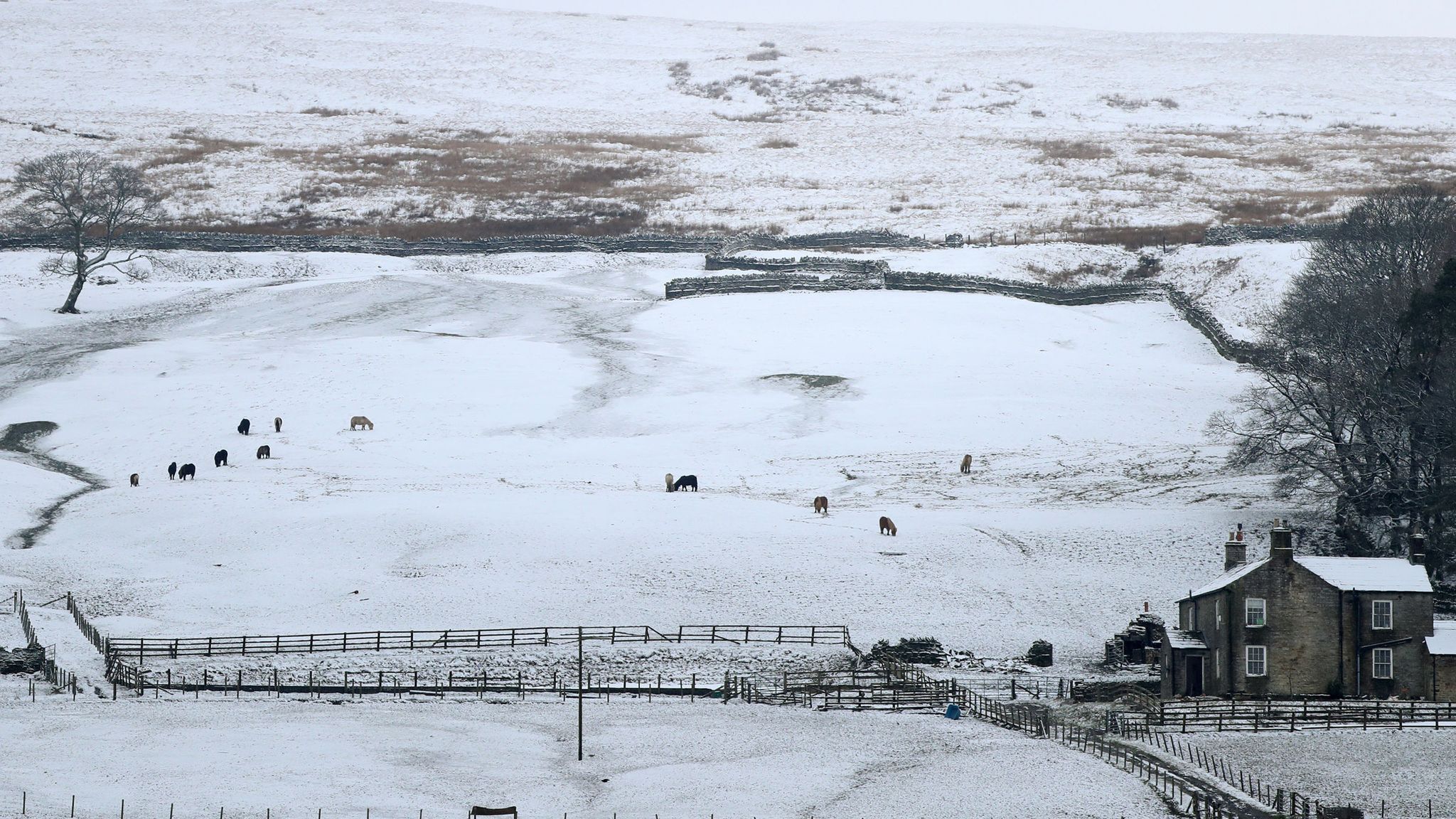Heavy rain and up to 10cm of snow hits UK on Easter Monday | UK News ...