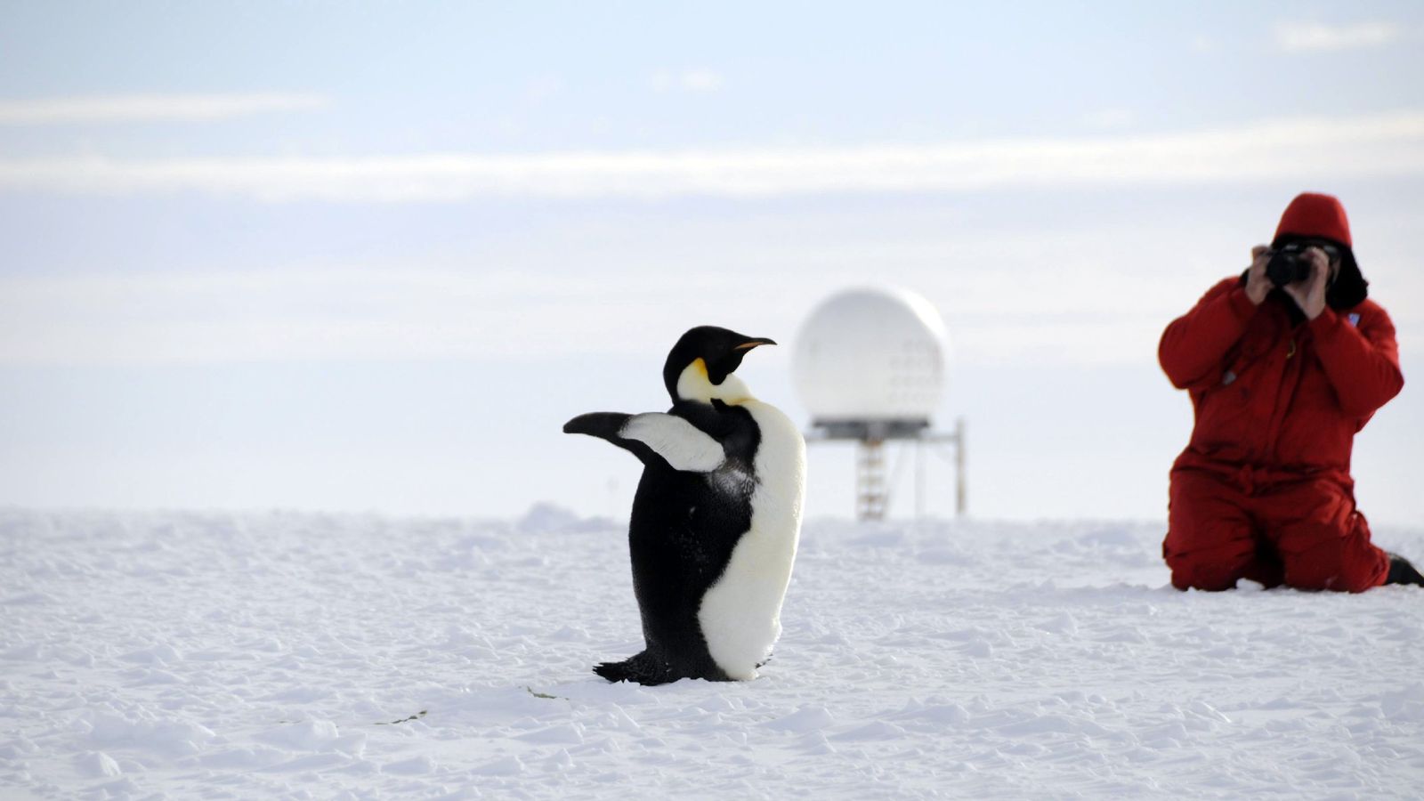 Global warming to wipe out 'many' animals in protected oceans | World ...