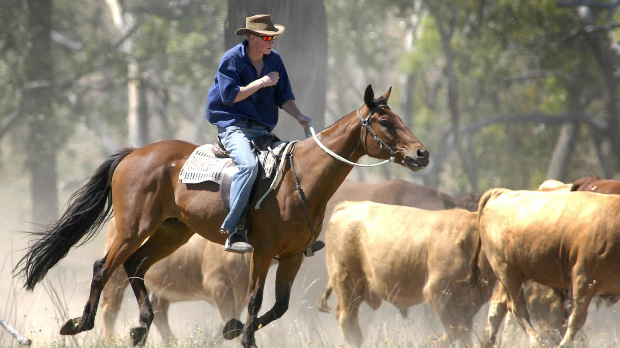 19 moments that shaped Prince Harry | UK News | Sky News