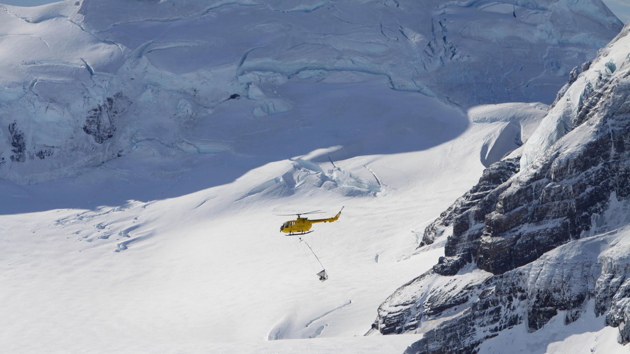 Rats driven off British island South Georgia after world's largest ...