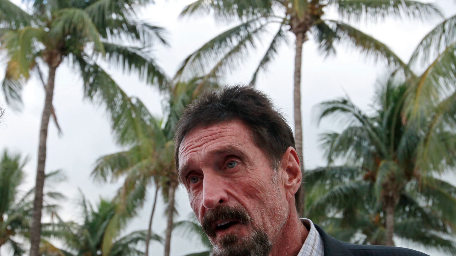 John McAfee: Anti-virus software pioneer claims 'enemies' tried to kill ...