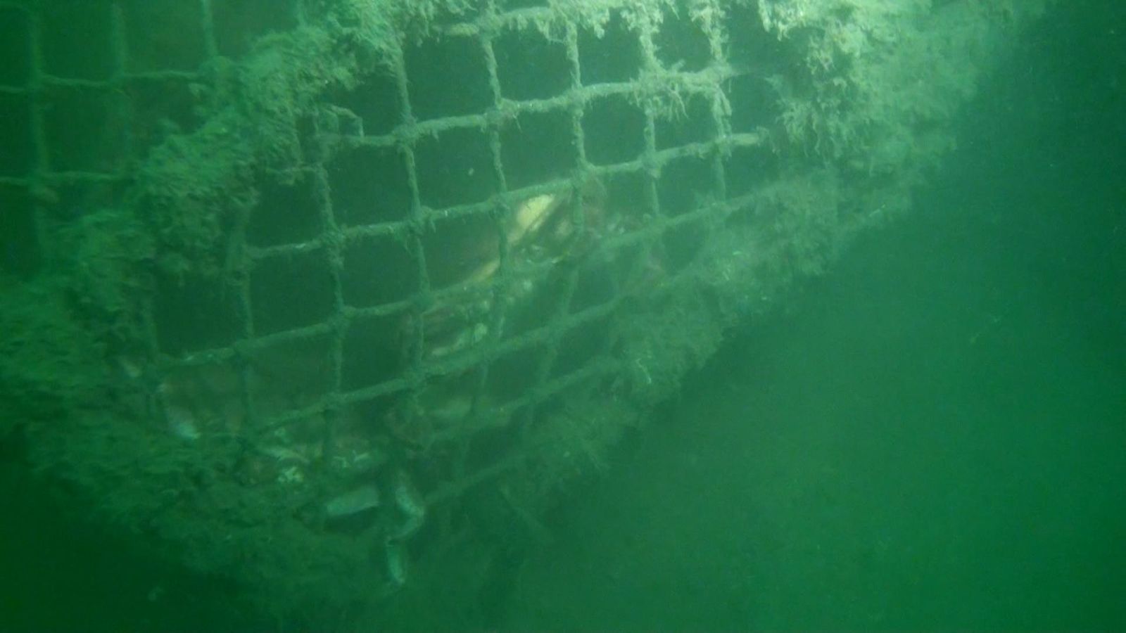 Ghost gear: The dangerous killer lurking in the sea | Sky News