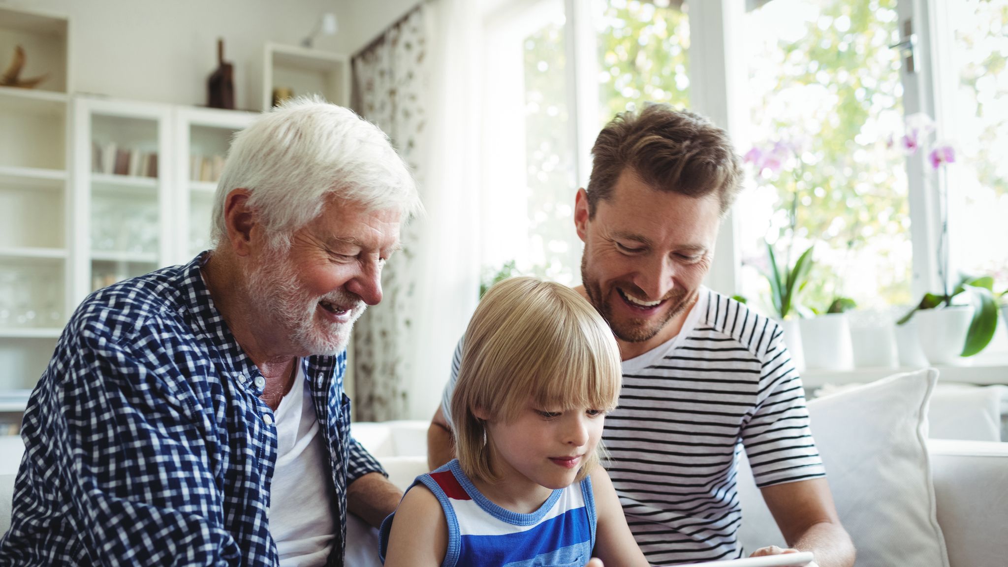 Are men getting dumber? Take the IQ test | World News | Sky News