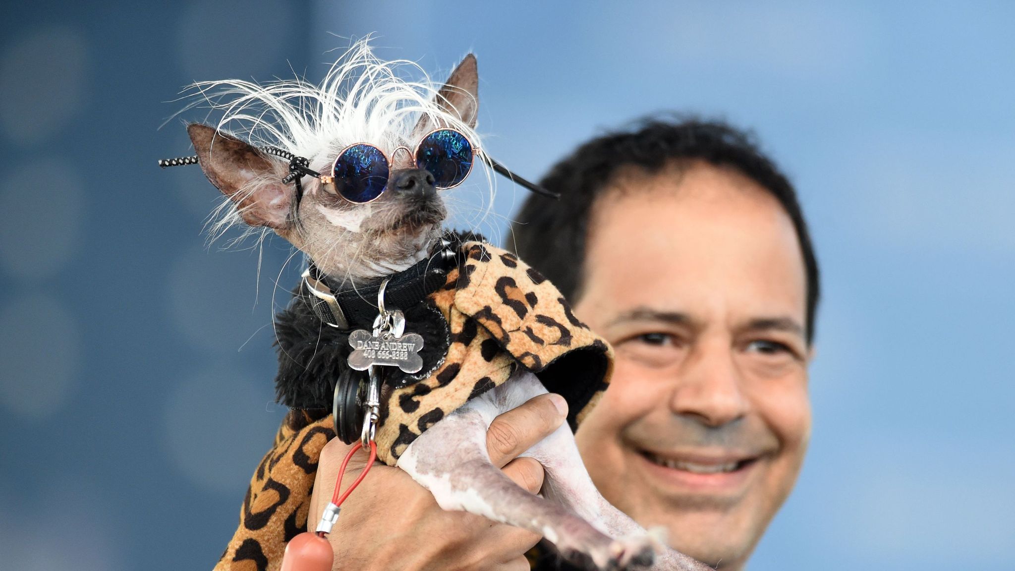 'World's ugliest dog' Zsa Zsa wins $1,500 prize | Offbeat News | Sky News