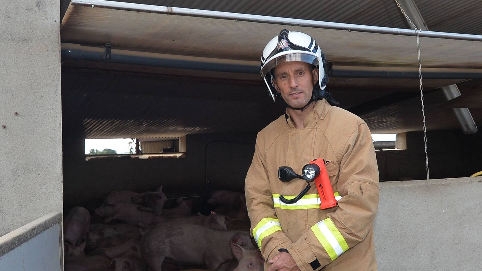 72 pigs have bacon saved in Northern Ireland fire service's largest ...